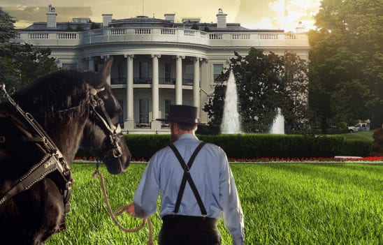 Experience Bird-in-Hand, PA | Lancaster County PA's Amish Country