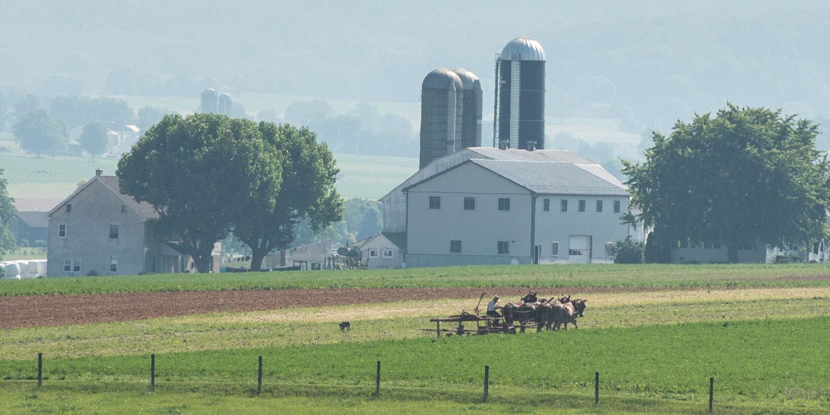 6 Things to Know About Amish Country – Bird-in-Hand
