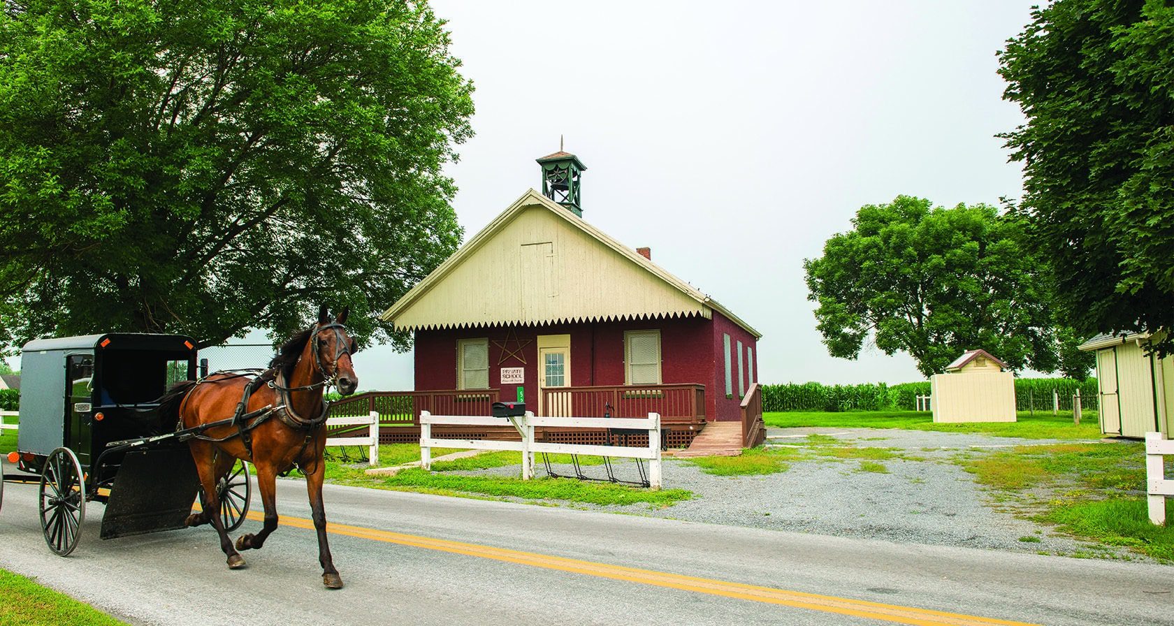 Experience Bird-in-Hand, PA | Lancaster County PA's Amish Country