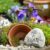 Family-Friendly Easter Activities in Lancaster, PA – Bird-in-Hand