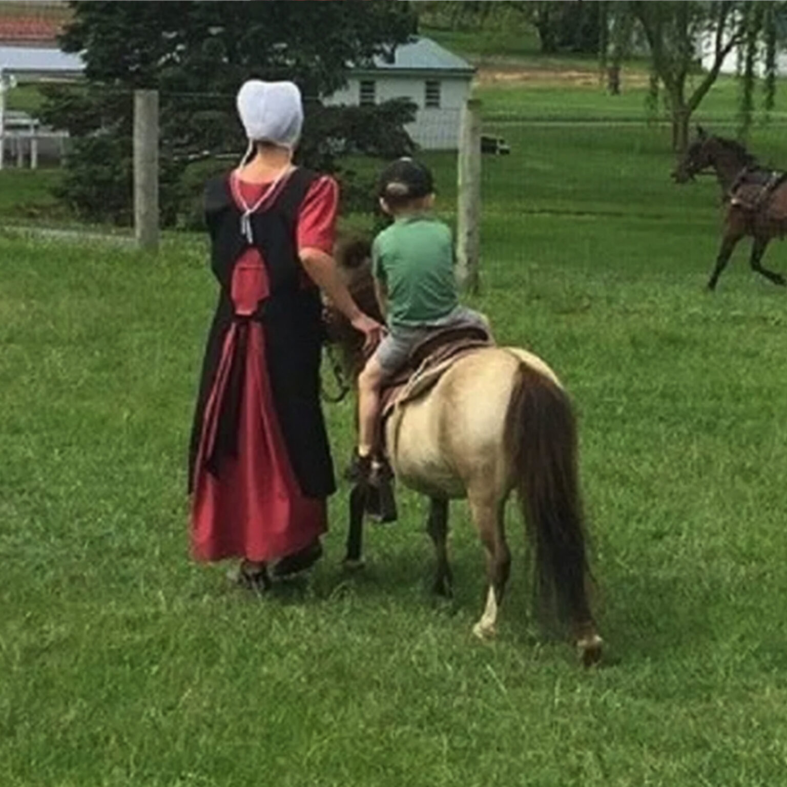 The Best Amish Gift Shops and Handcrafted Goods in Lancaster, PA | Bird ...
